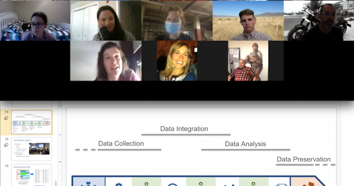 Developing reproducible workflows collaboratively